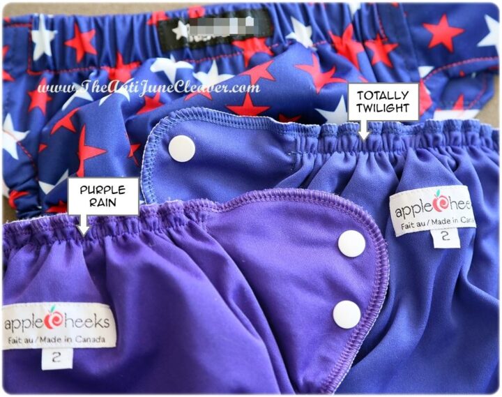 AppleCheeks Swim Diaper Review | Haus of Boys