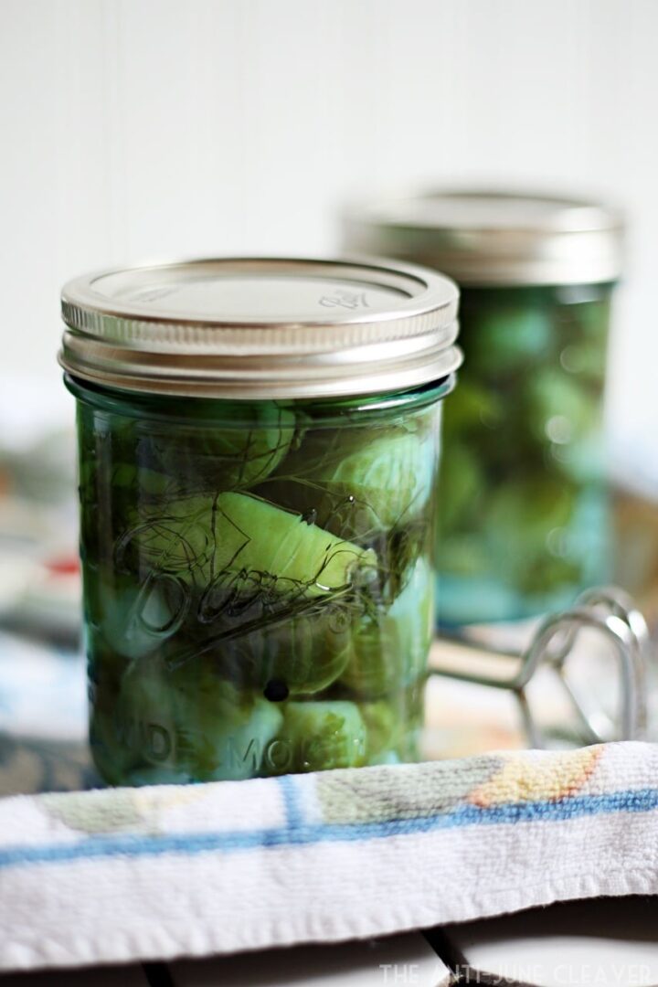 Pickled Brussels Sprouts Recipe | Haus of Boys