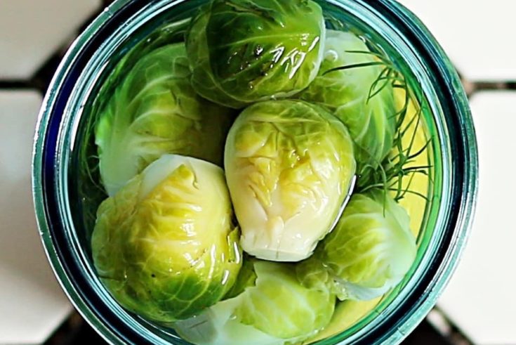 Easy and Delicious Pickled Brussels Sprouts | The Anti-June Cleaver