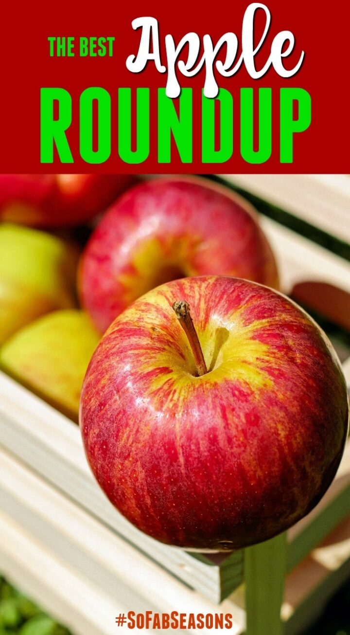 The Best Fall Apple Recipe Roundup | Haus of Boys