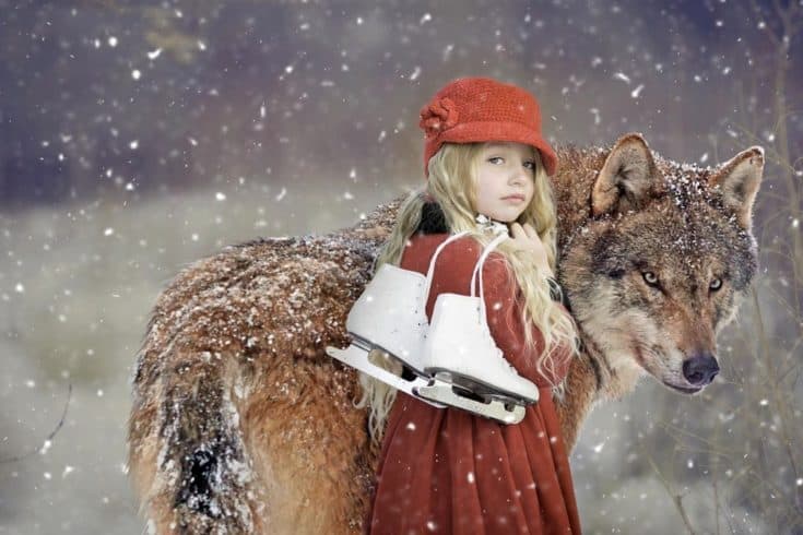 The Ultimate Guide to Fairy Tales With Wolves | Haus of Boys