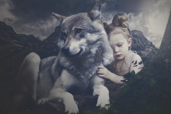 The Ultimate Guide to Fairy Tales With Wolves | Haus of Boys