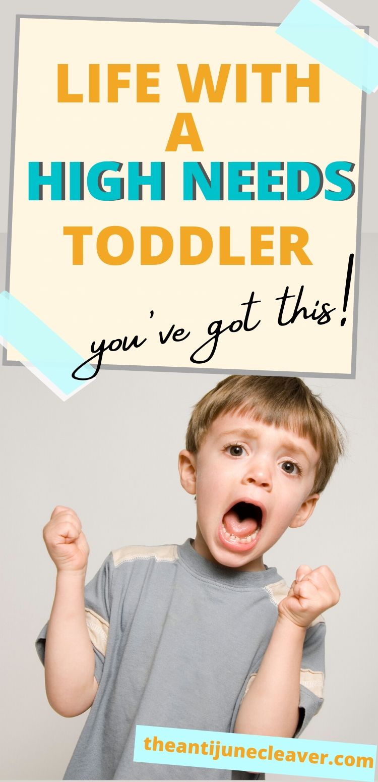 Life With a High Needs Toddler | Haus of Boys