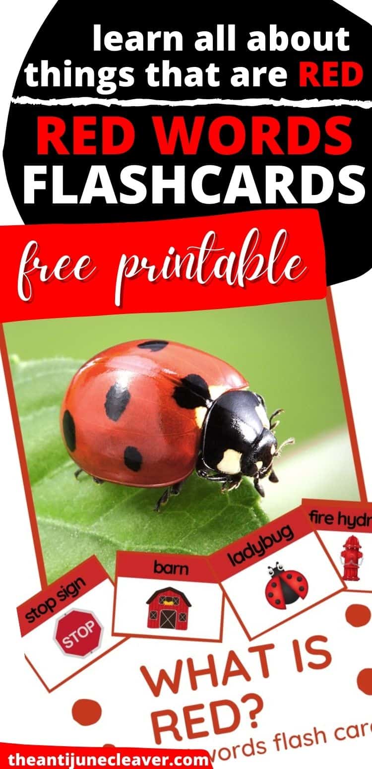 Red Words Flashcards – Free Printable | Haus of Boys