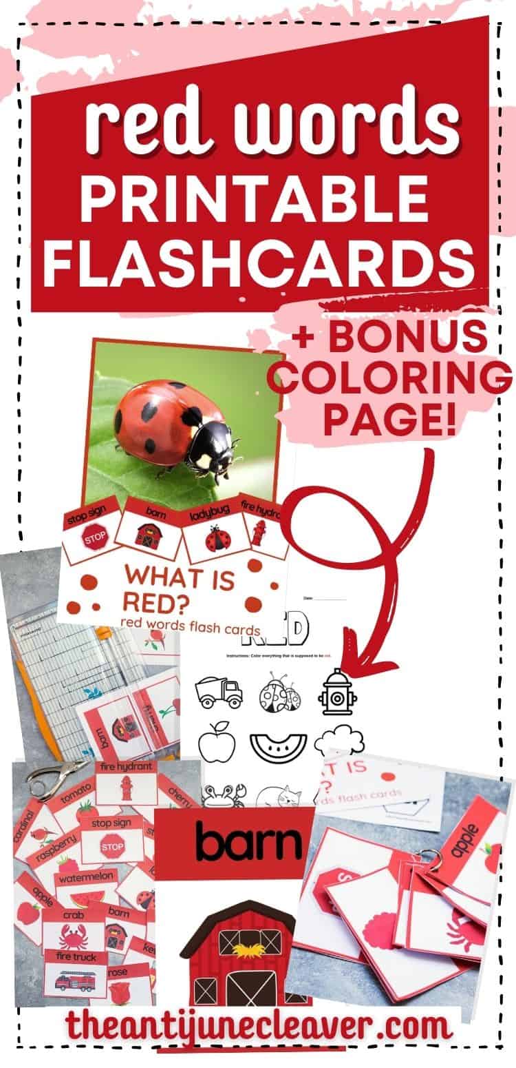 Red Words Flashcards – Free Printable | Haus of Boys