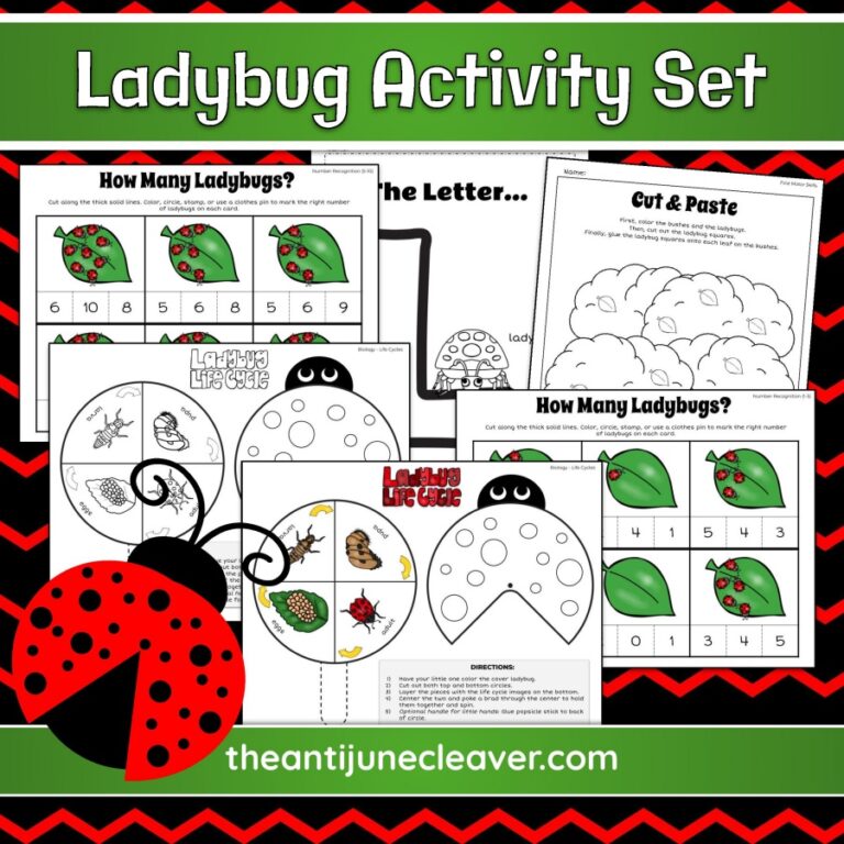 Fun Facts About Ladybugs for Kids + Printable Worksheets | Haus of Boys