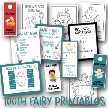 17 Tooth Fairy Ideas to Celebrate a Lost Tooth | Haus of Boys
