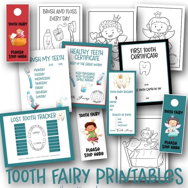 17 Tooth Fairy Ideas to Celebrate a Lost Tooth | Haus of Boys