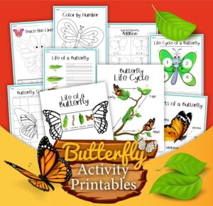 Fascinating Facts About Butterflies for Kids + Printable Activity ...