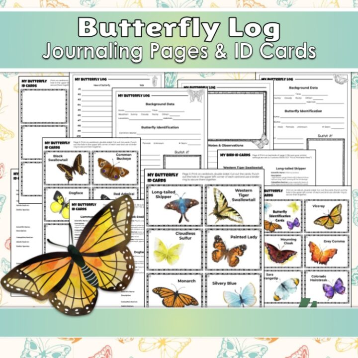 Fascinating Facts About Butterflies for Kids + Printable Activity ...
