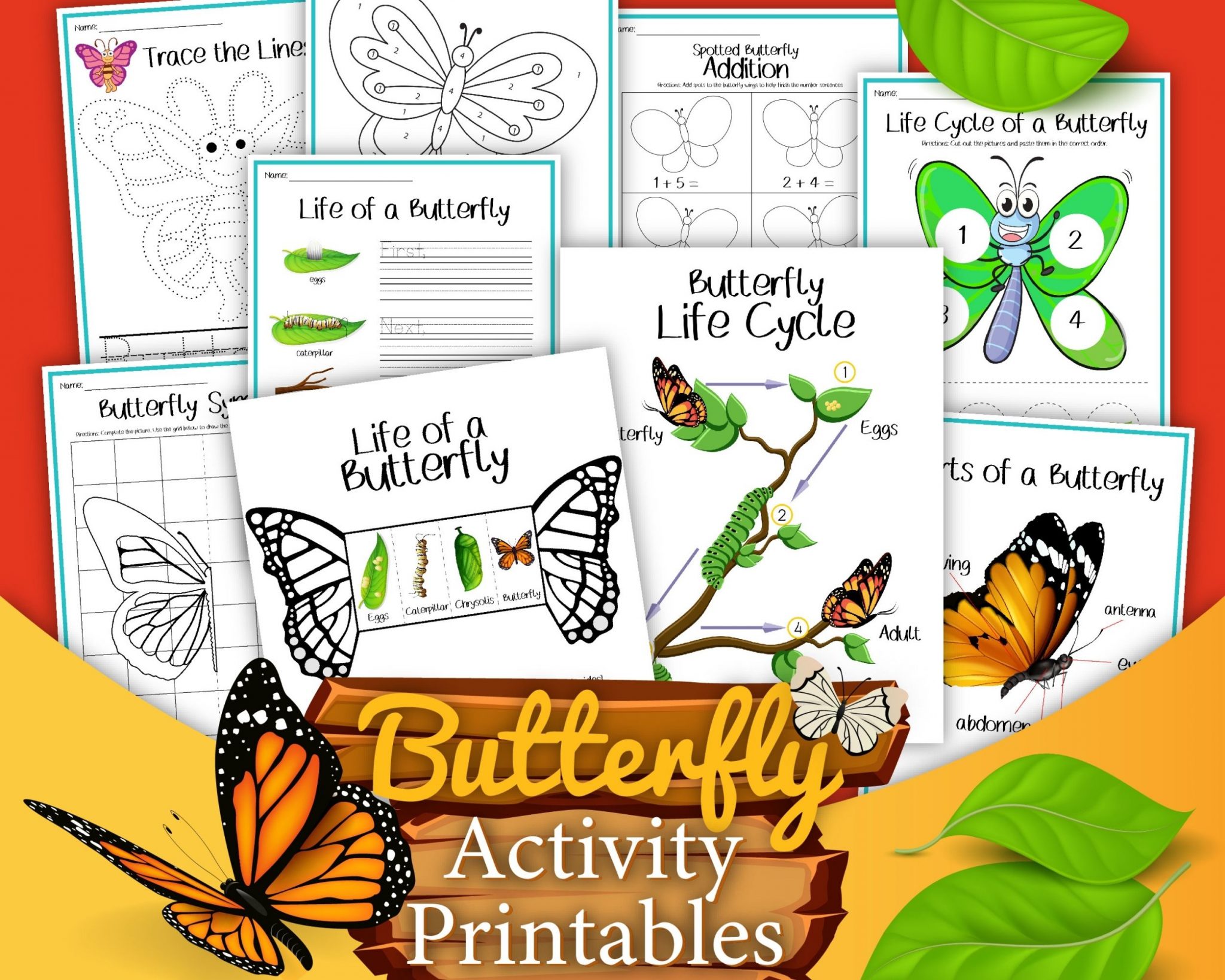 Fascinating Facts About Butterflies for Kids + Printable Activity ...
