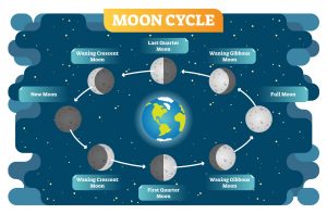 Amazing Facts About the Moon + Worksheets for Kids | Haus of Boys